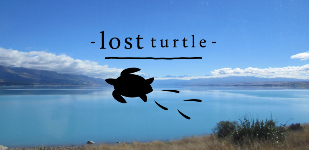 Lost Turtle – Welcome to AIWW